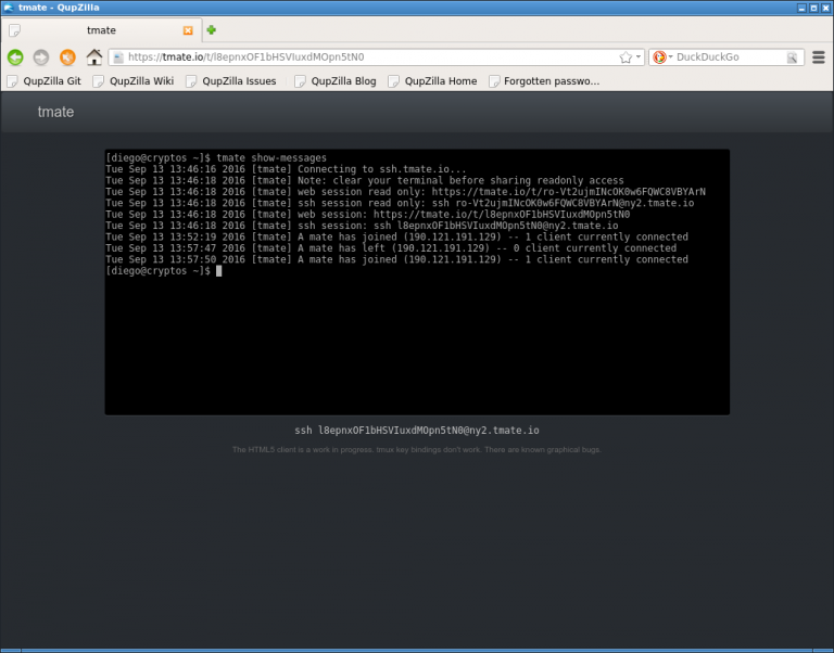 tmate: compartiendo la terminal en Internet - Junco TIC