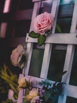 animacion-delay - Junco TIC